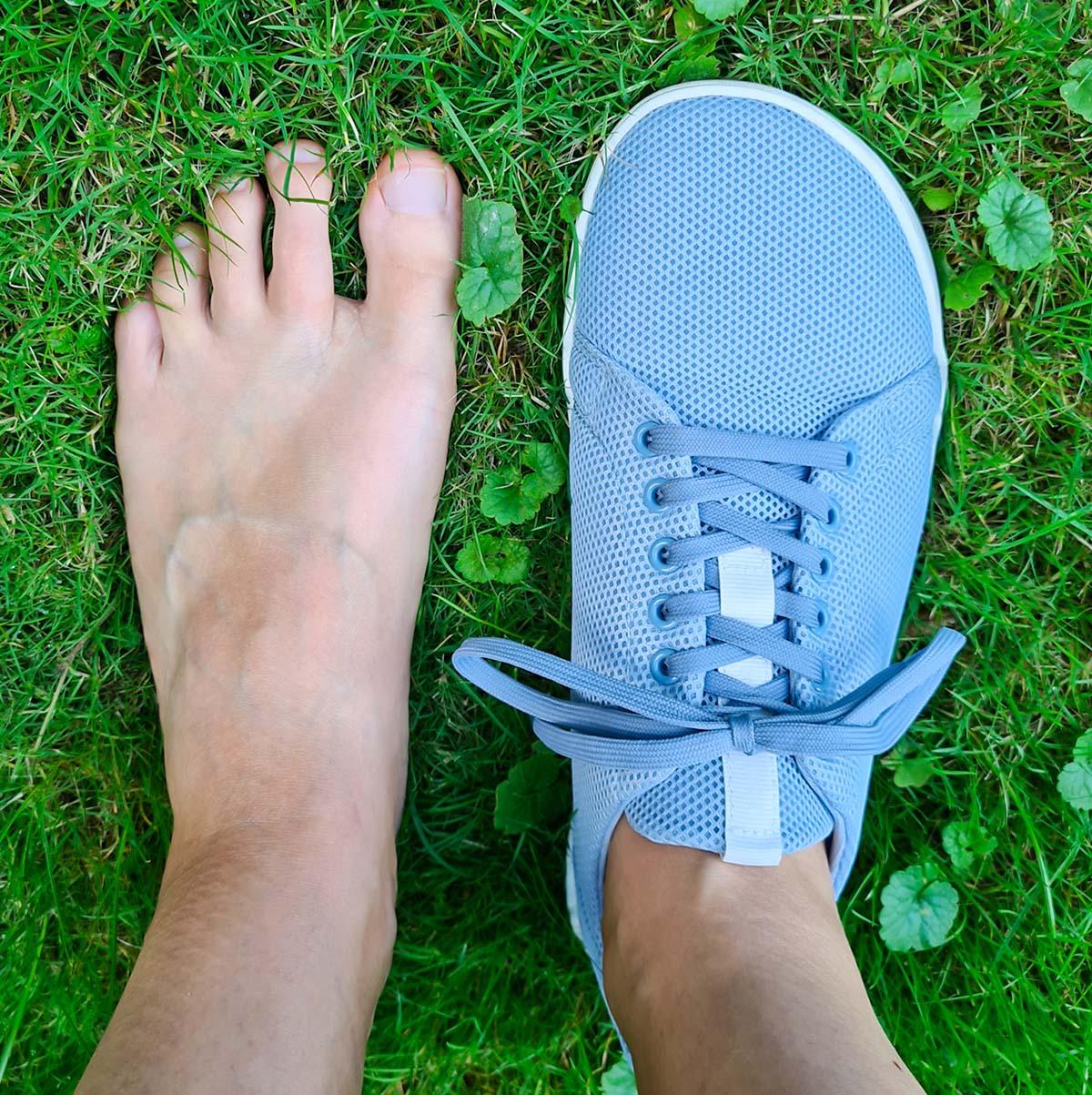 Feelgrounds Original - Review - Barefoot Universe